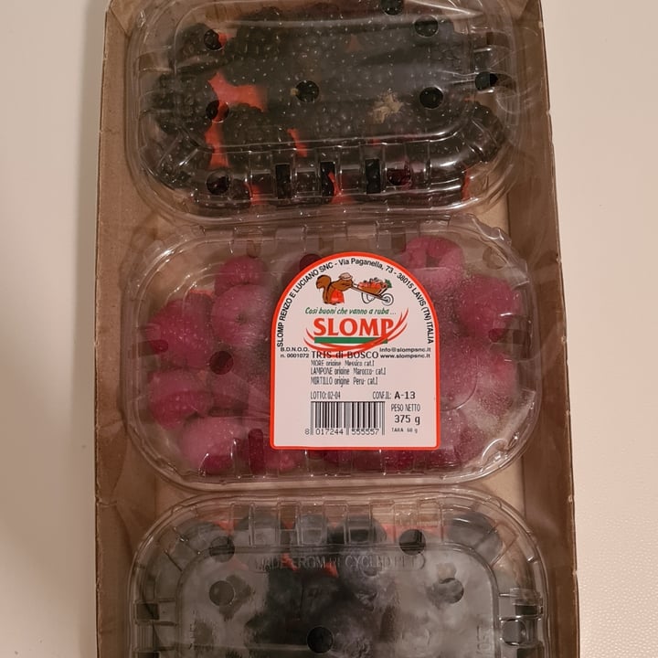 Slomp Tris di Bosco Review | abillion