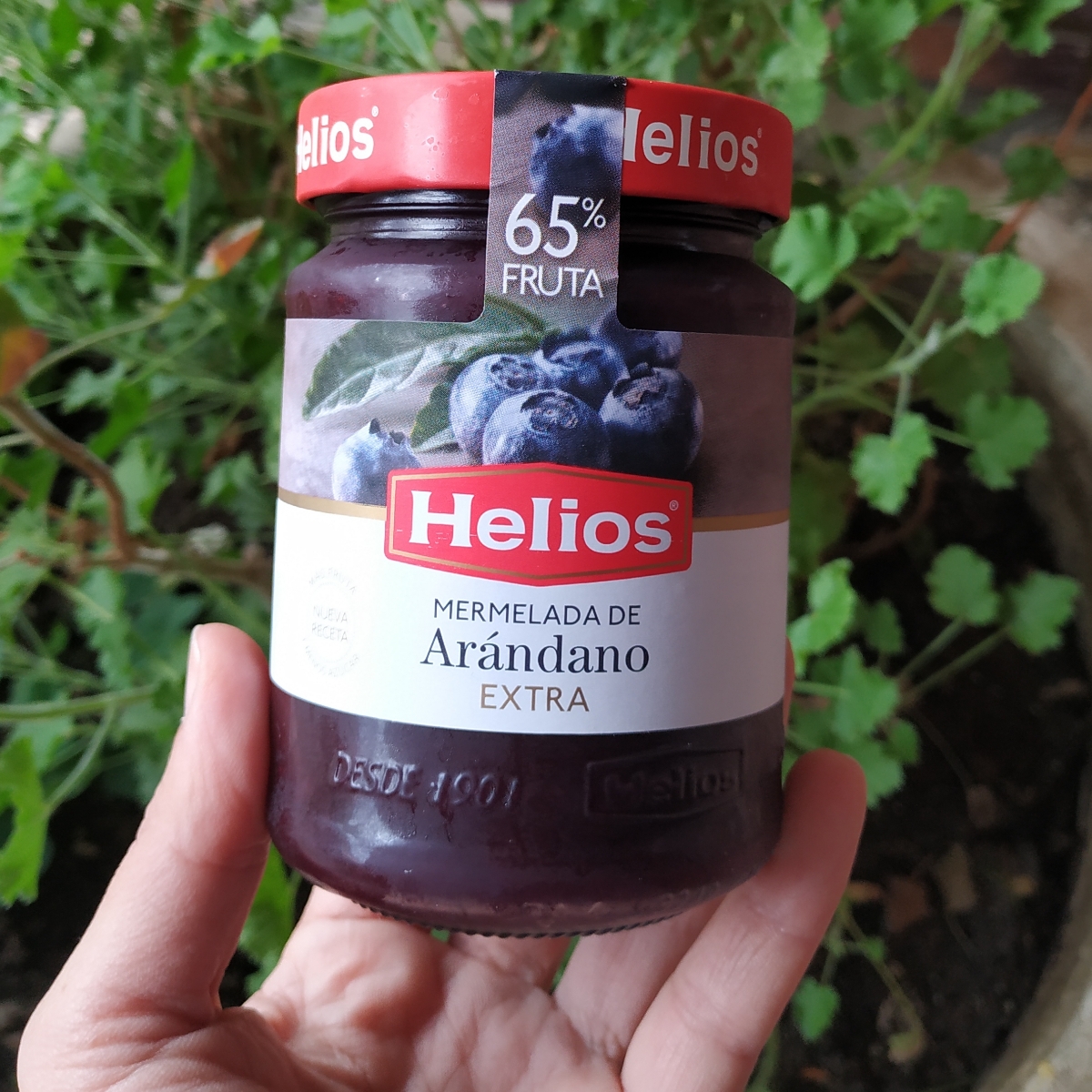 Helios Marmelada Reviews | abillion