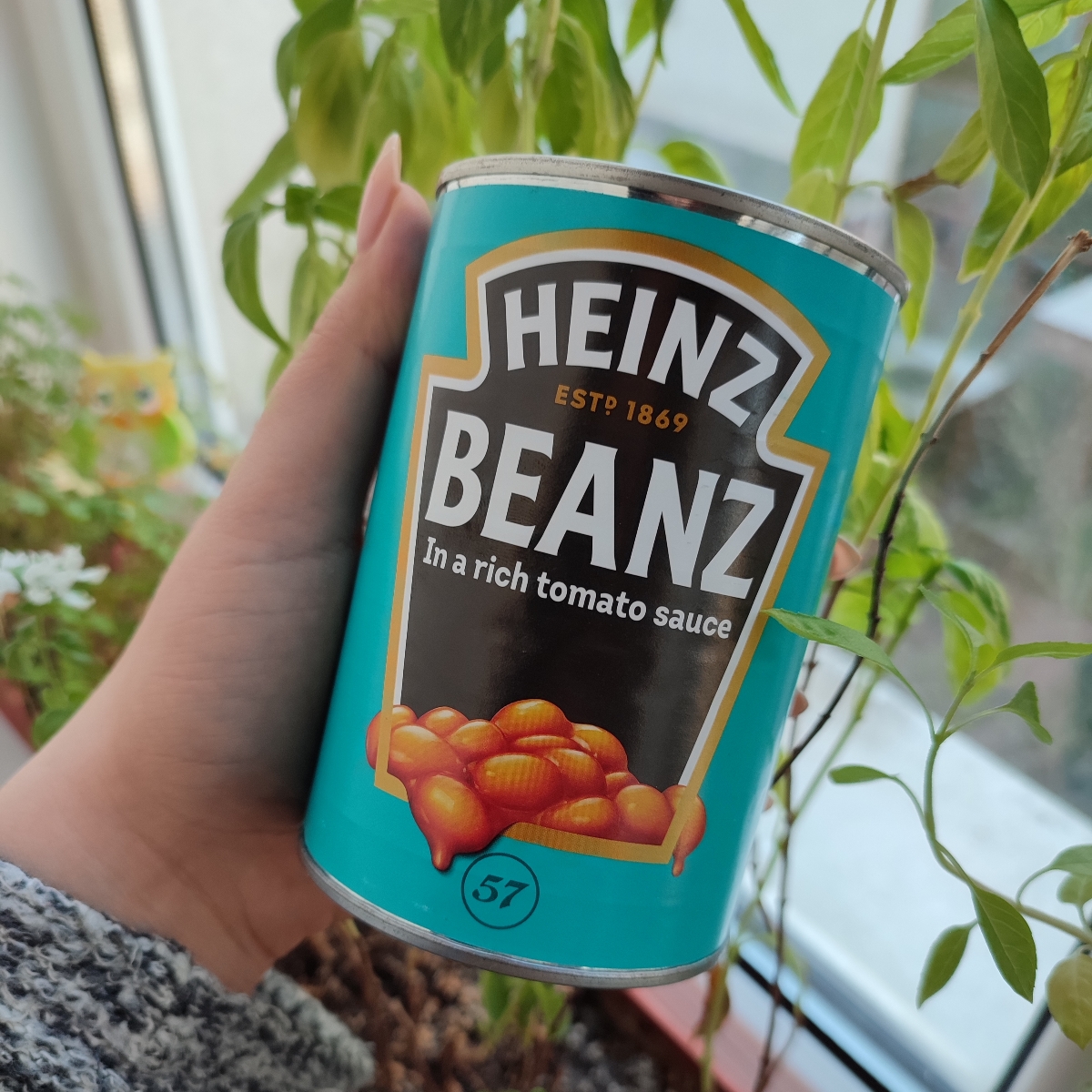 Beanz in a rich tomato sauce from Heinz - Vegan Product Reviews ...