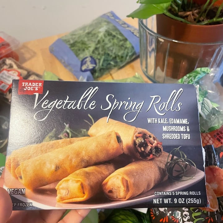 Trader Joe's Vegetable spring rolls Review | abillion