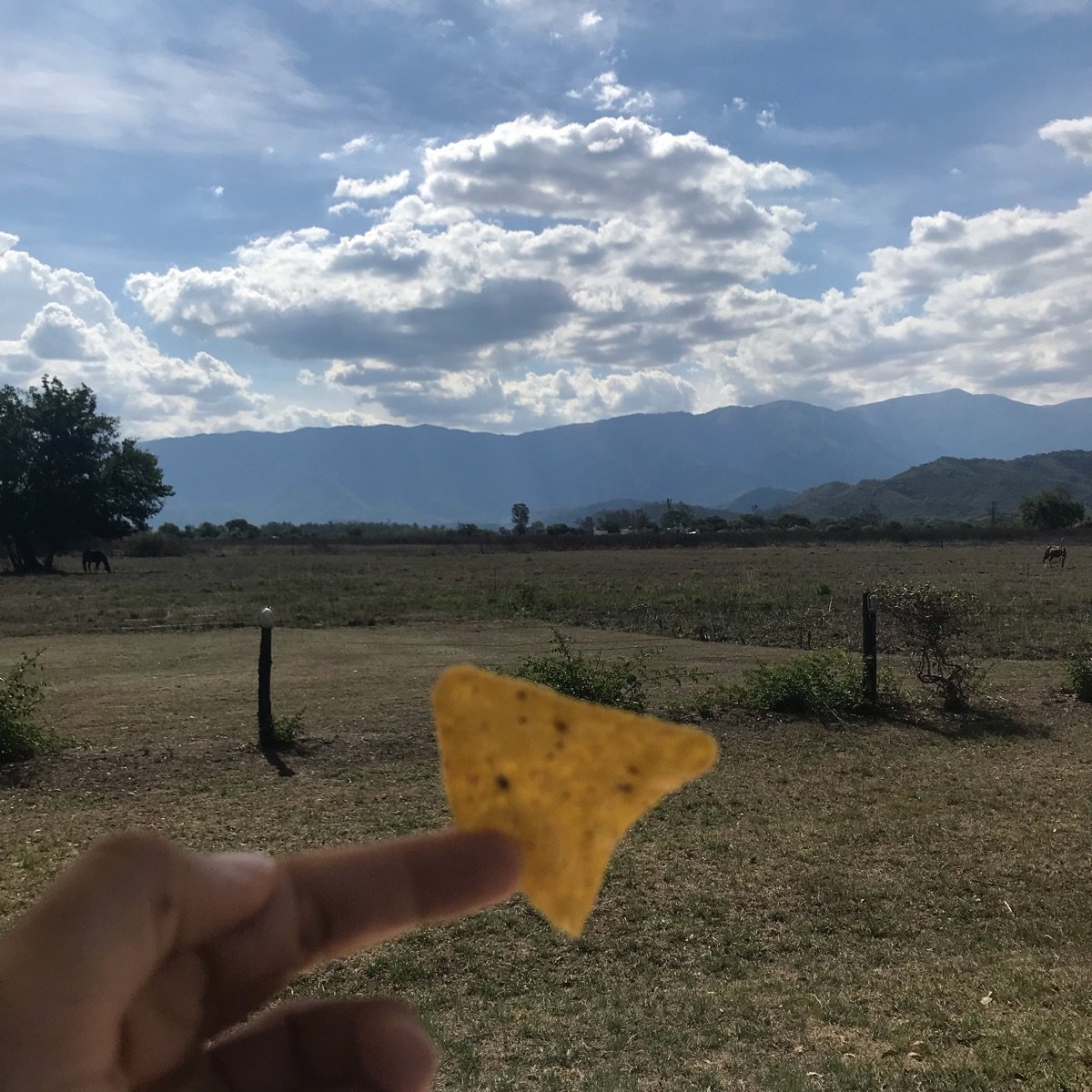 Nachos From Tostitos Vegan Product Reviews Ratings Abillion