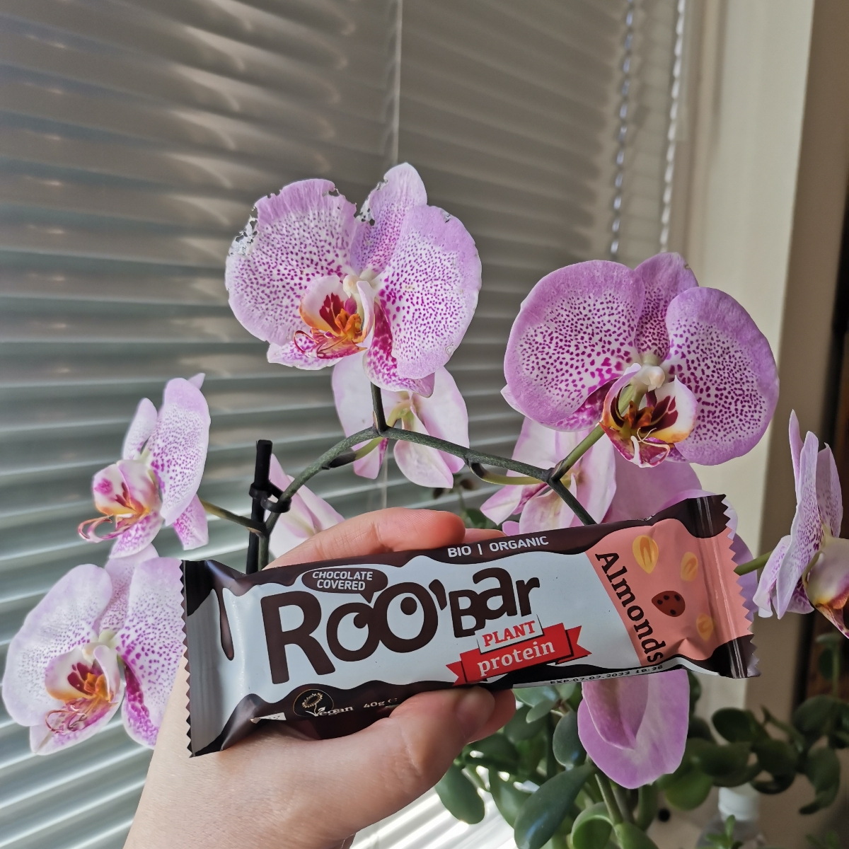 Almond protein bar chocolate covered from Roo'bar - Vegan Product ...