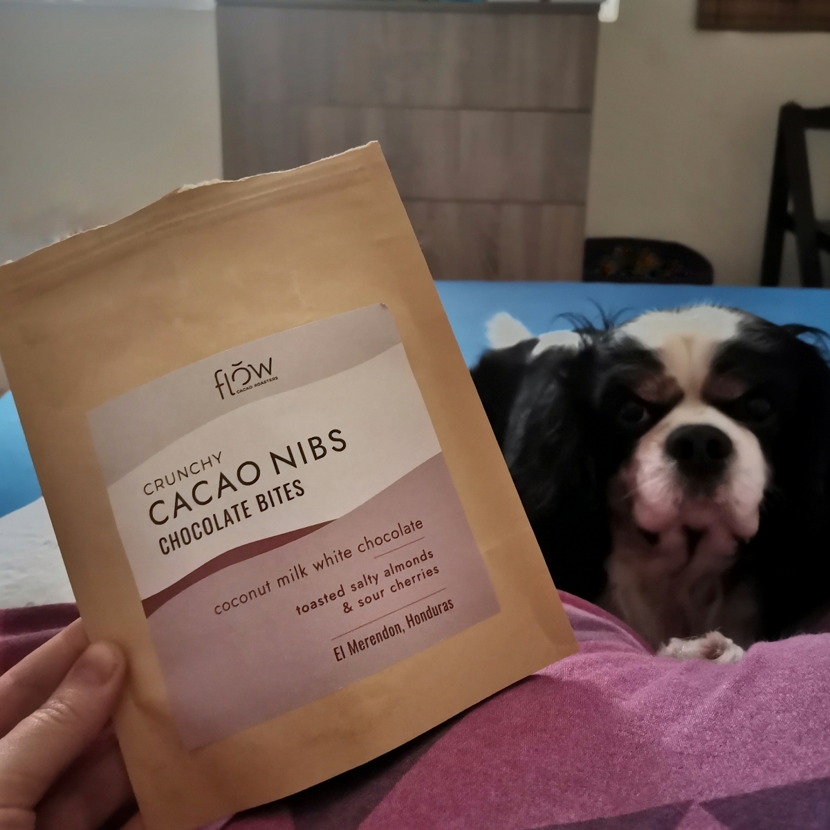 Coconut milk white chocolate bites from Flow Cacao roasters - Vegan ...