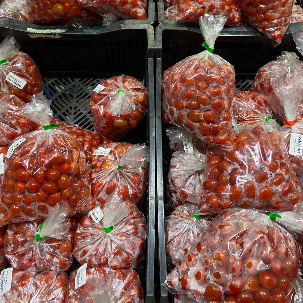 Champ Fungi Cherry Tomatoes Reviews | abillion