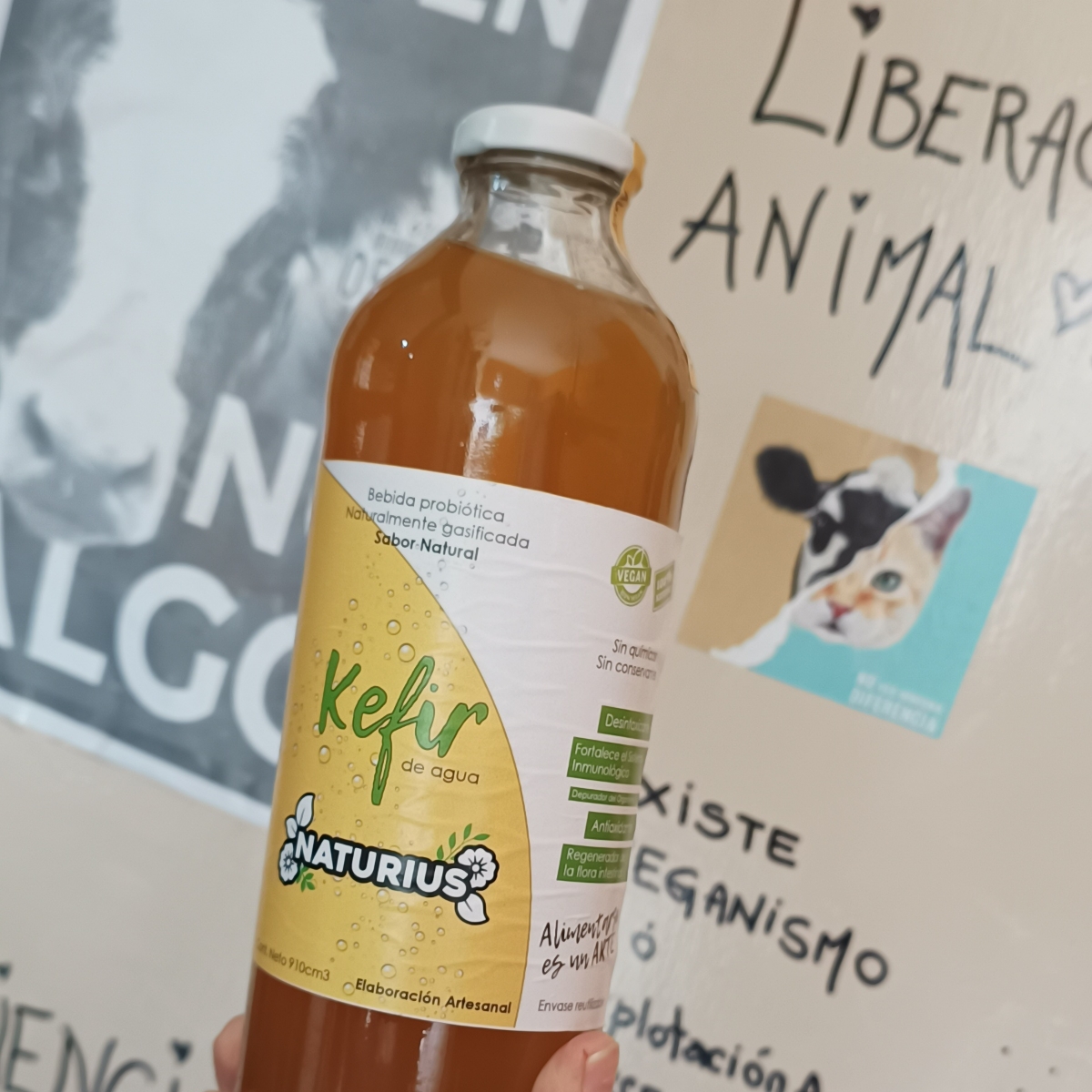 Kefir from Naturis - Vegan Product Reviews & Ratings | abillion