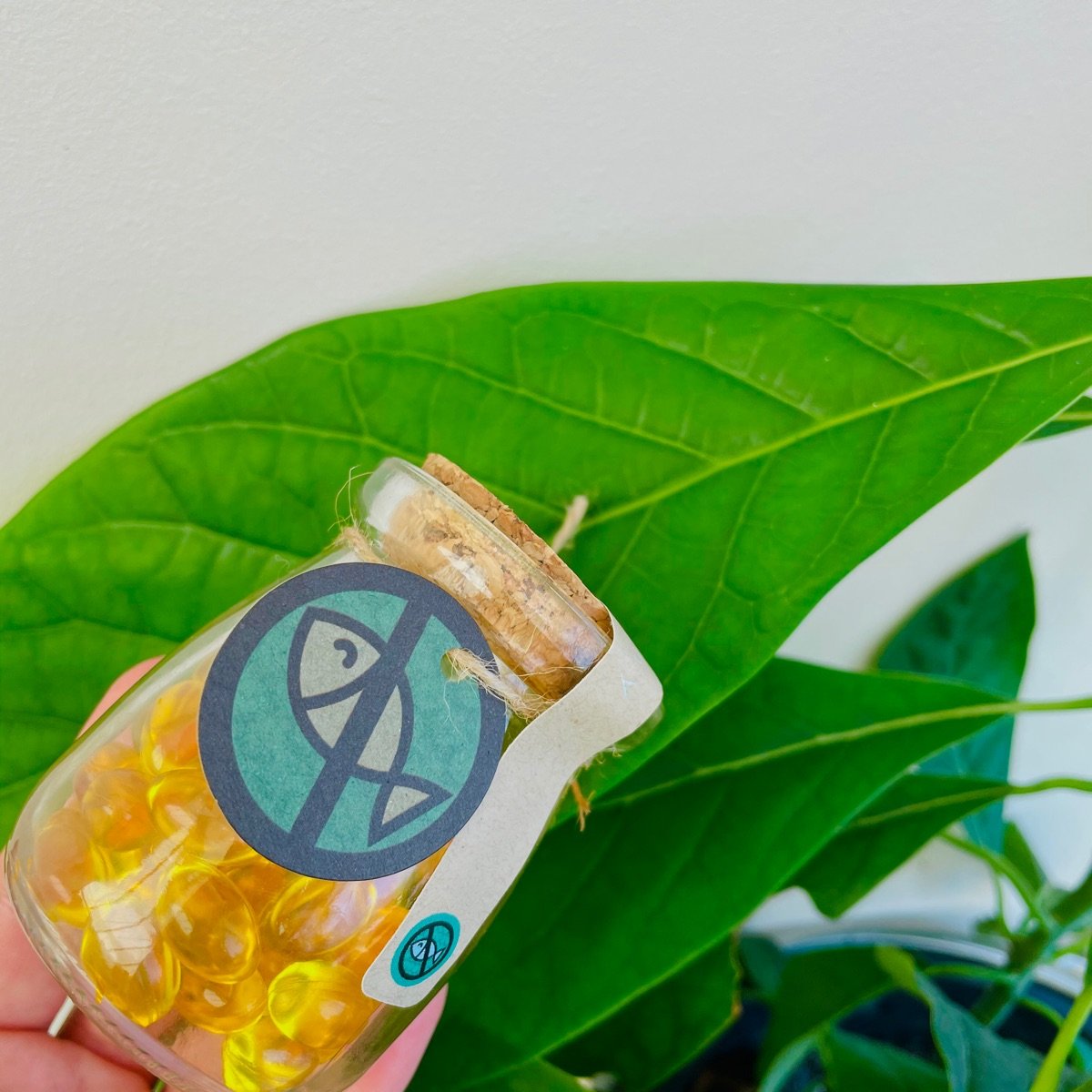 Nothing Fishy Nothing Fishy Omega 3 Capsules 评价 | abillion