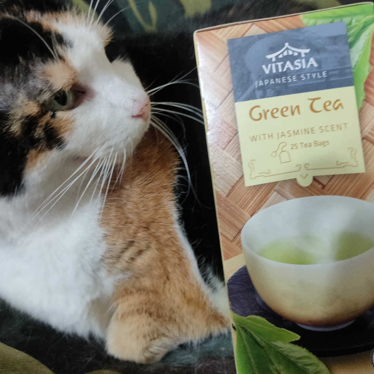 Green tea jasmine flavour from VitAsia - Vegan Product Reviews ...