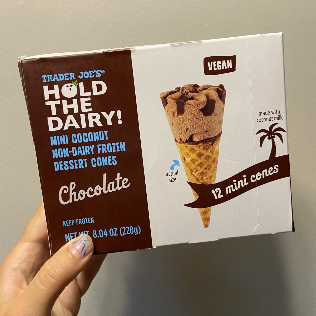 Trader Joe's Hold the Dairy Mini Ice cream cones chocolate Reviews | abillion