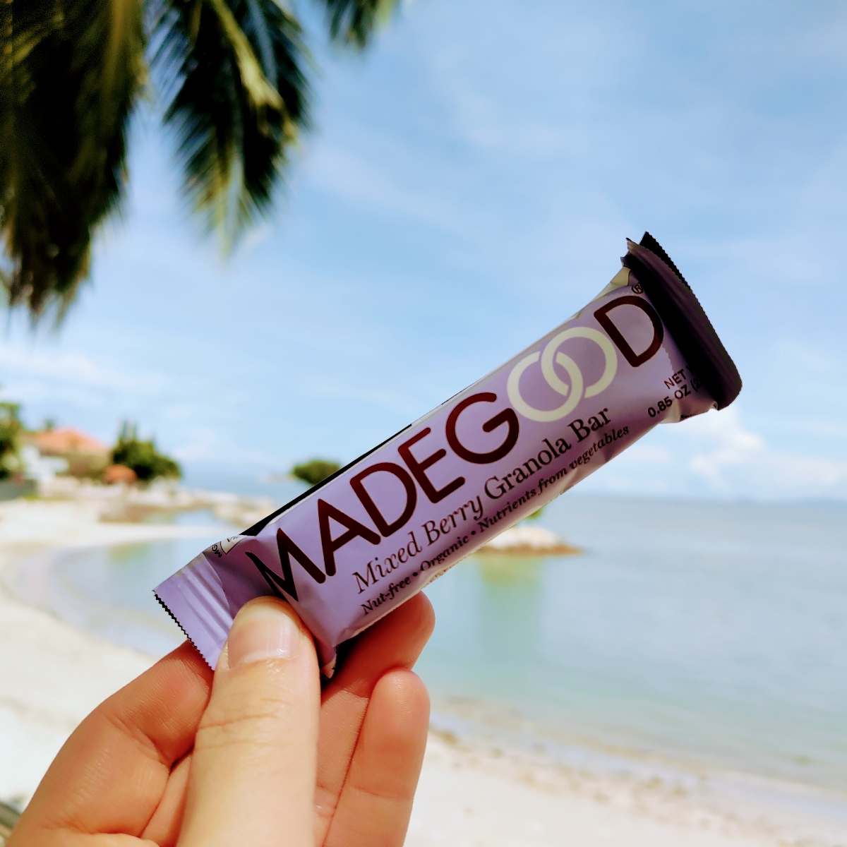 Mixed Berry Granola Bars from Made Good - Vegan Product Reviews ...
