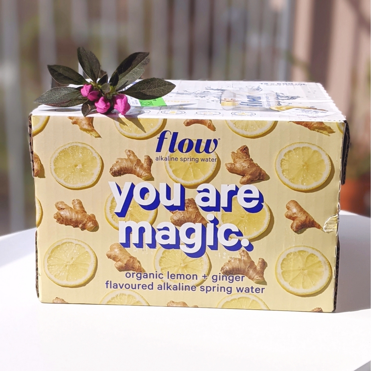 Lemon + Ginger from Flow - Vegan Product Reviews & Ratings | abillion