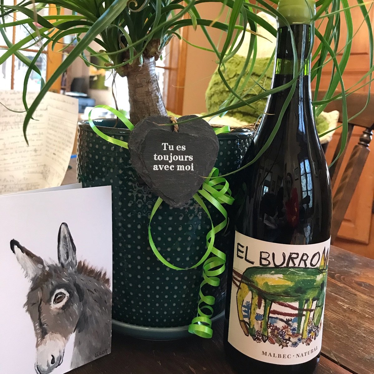 El Burro Malbec Natural 2021 from Santa Julia - Vegan Product Reviews ...
