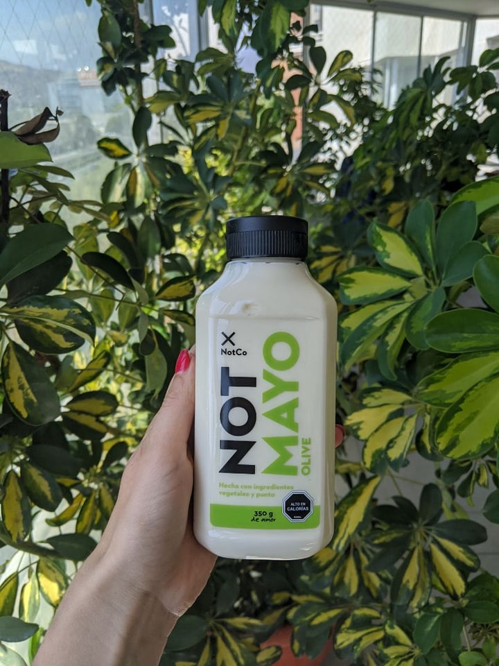 NotCo Not Mayo Olive Review | abillion