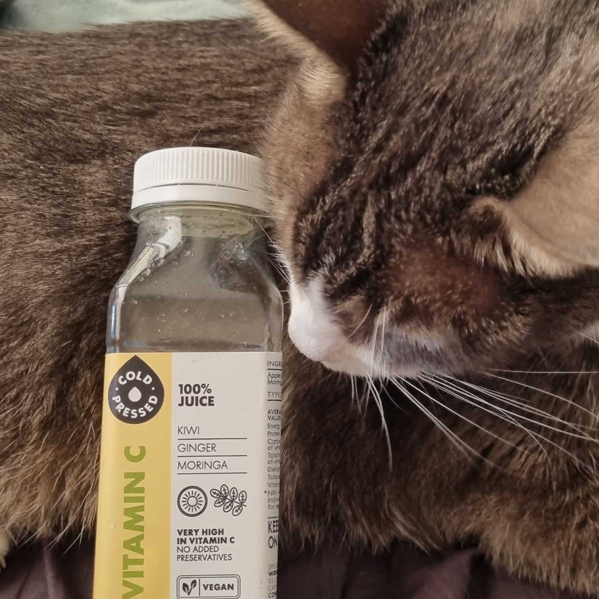 Avaliações de Kiwi, Giner and Moringa cold pressed juice da Woolworths ...