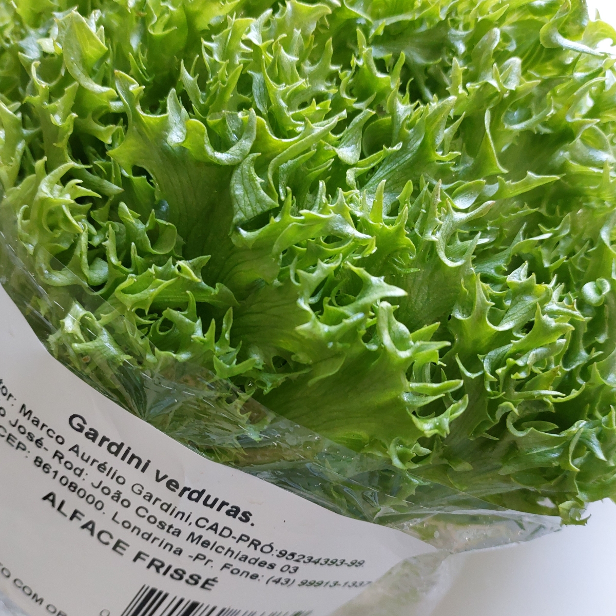 Gardini Verduras Alface Frisée Reviews | abillion