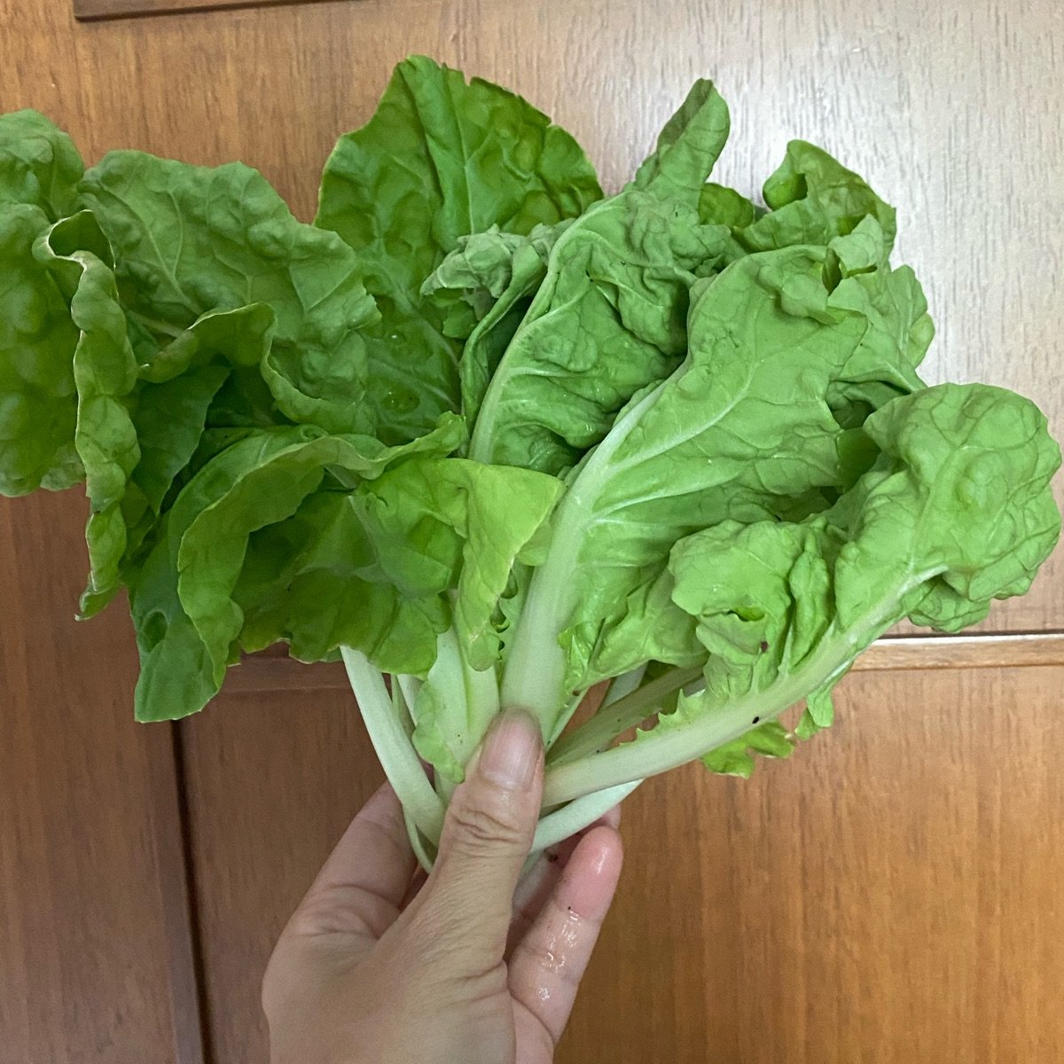 Pa Bo Cai from Farmer Nick - Vegan Product Reviews & Ratings | abillion
