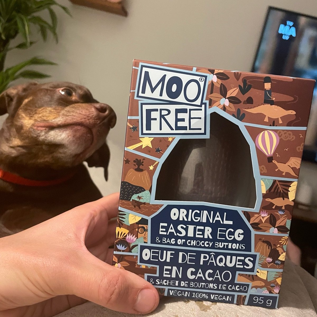 Original Easter Egg + Bag of Choccy Buttons from Moo Free - Vegan ...