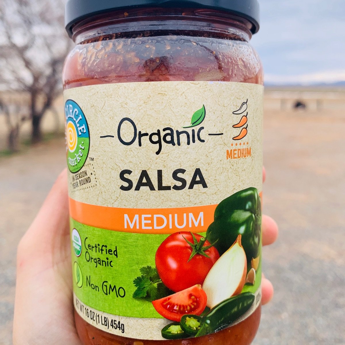 Full Circle Market Organic Salsa Medium Heat Reviews | abillion