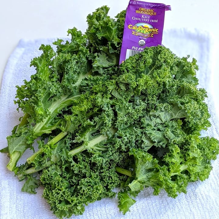 Cal-organic Kale Review | abillion