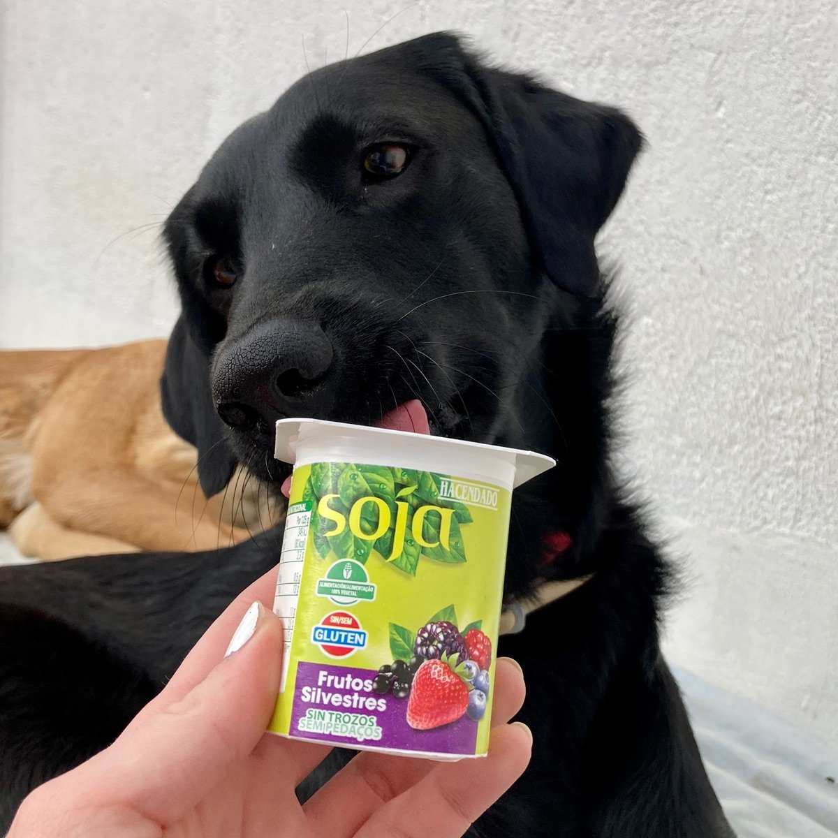 Yogurt de Soja Frutos Silvestres from Hacendado - Vegan Product Reviews ...