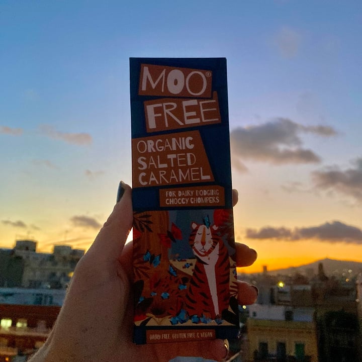 Moo Free Organic Salted Caramel Review | abillion