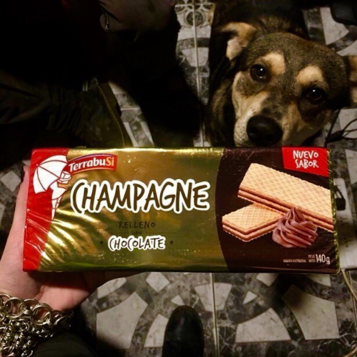Obleas Champagne Chocolate from Terrabusi - Vegan Product Reviews ...