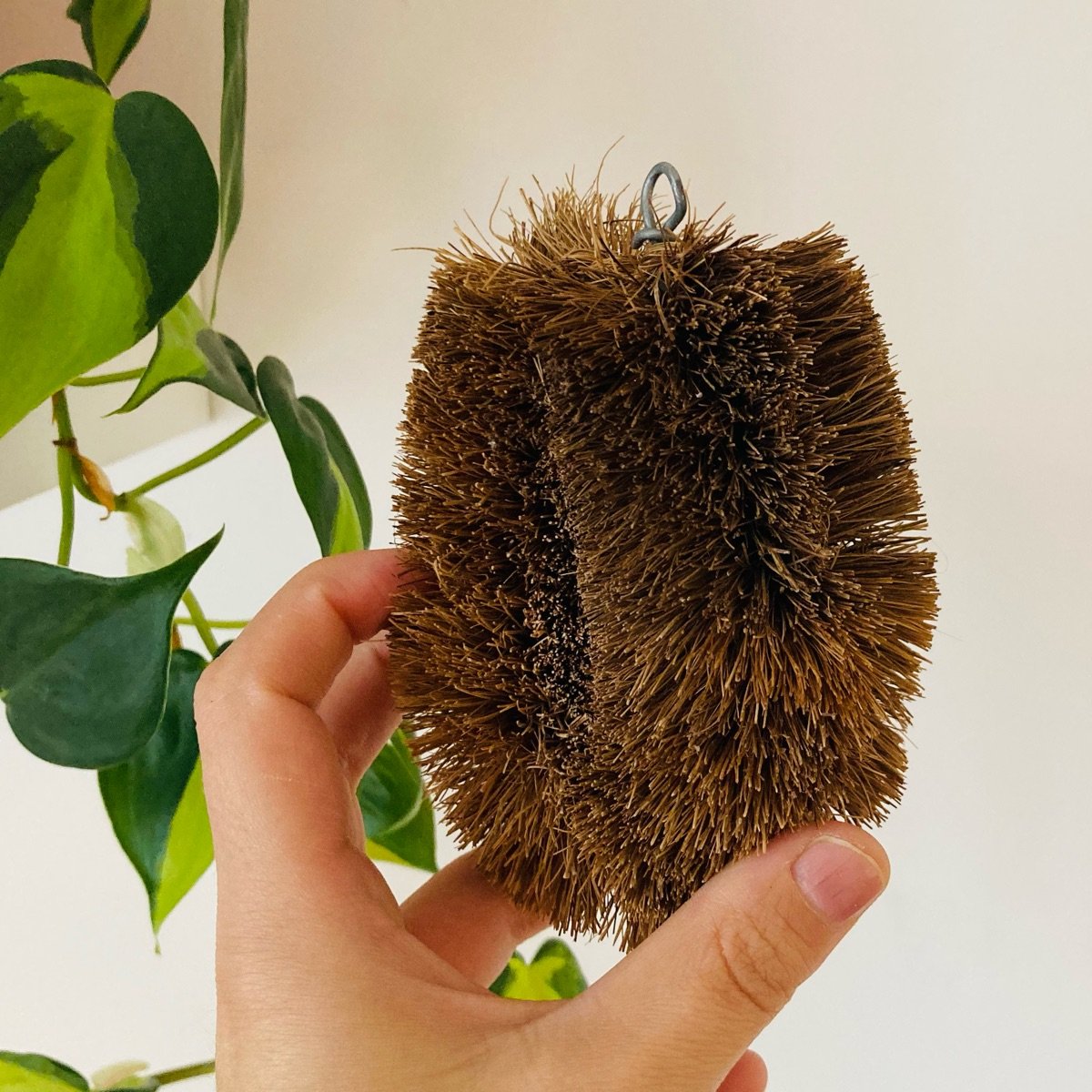 Washing-Up Brush from Loof Co - Vegan Product Reviews & Ratings | abillion