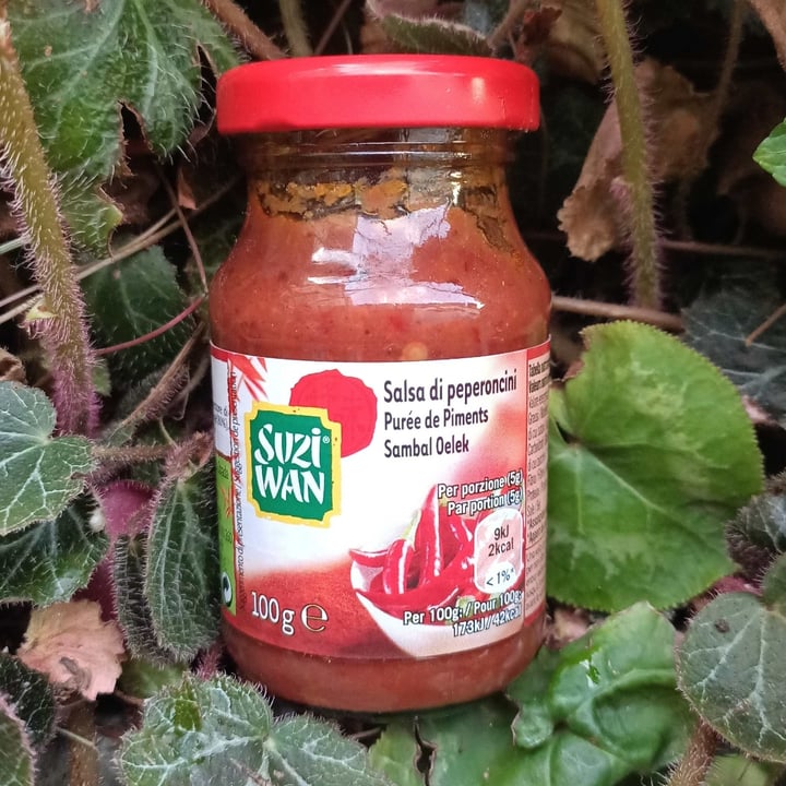 Suzi Wan Salsa Di Peperoncini Review | abillion