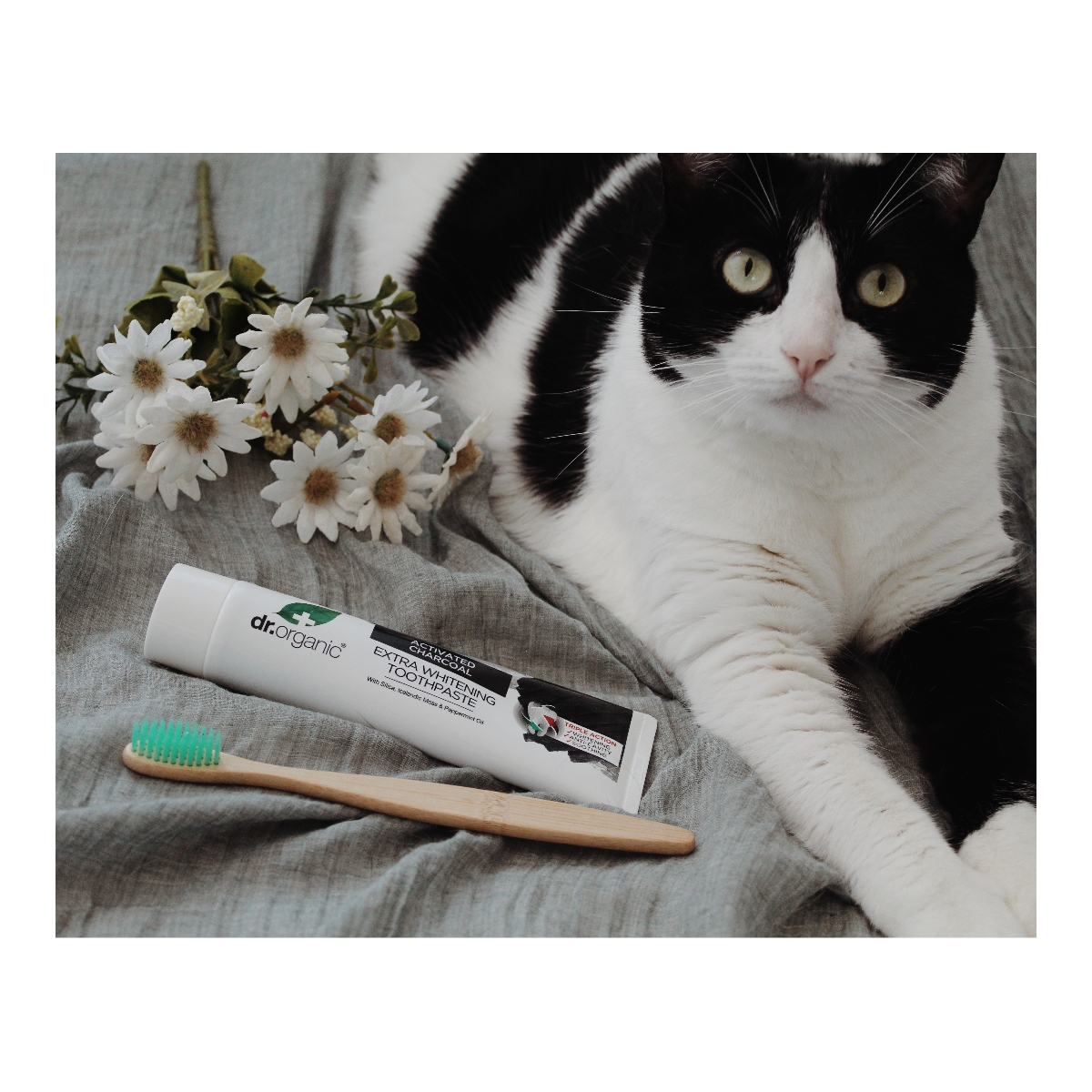 Pasta de dientes from dr.organic - Vegan Product Reviews & Ratings ...