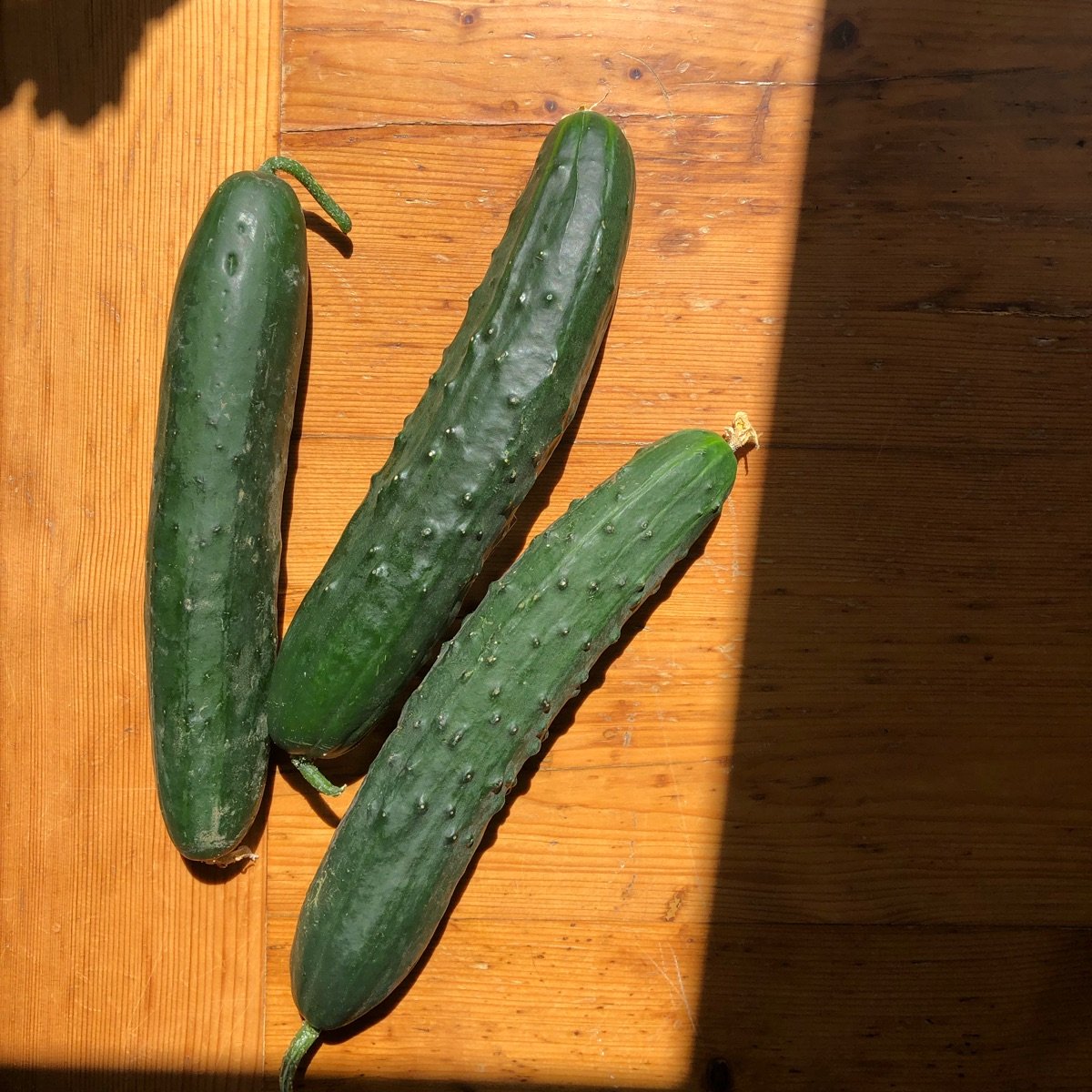 Cetrioli from Esselunga - Vegan Product Reviews & Ratings | abillion