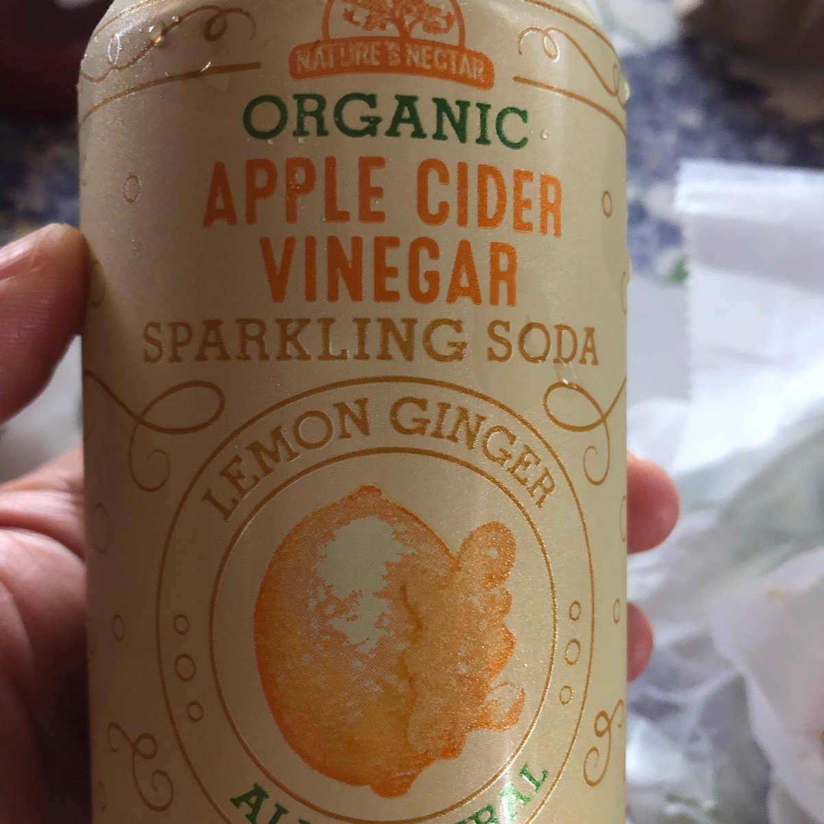 organic apple cider vinegar lemon ginger sparkling soda from Nature's Nectar - Vegan Product ...