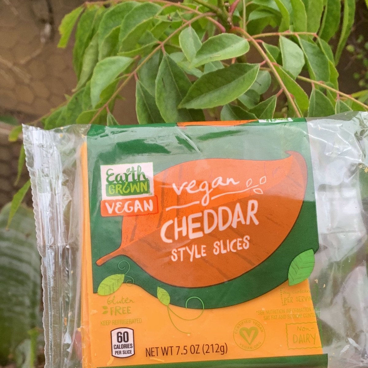Earth Grown vegan cheddar style slices Reviews | abillion