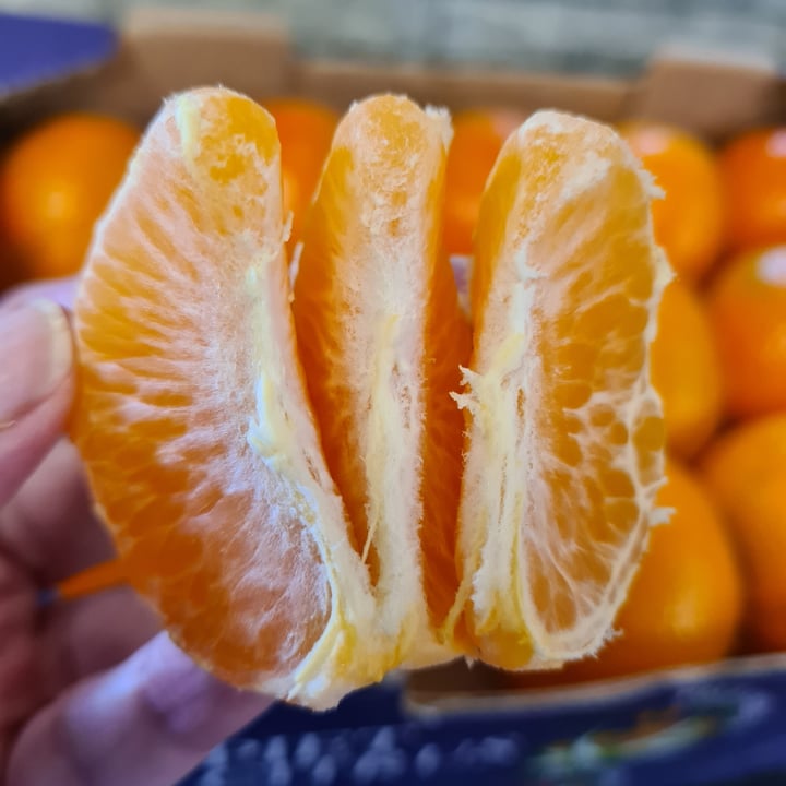 Piet Citrus Naartjies Review | abillion