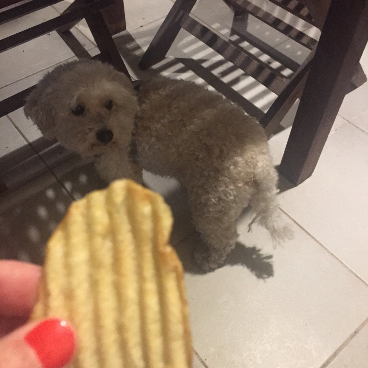Papas clásicas from Quento Snacks - Vegan Product Reviews & Ratings ...