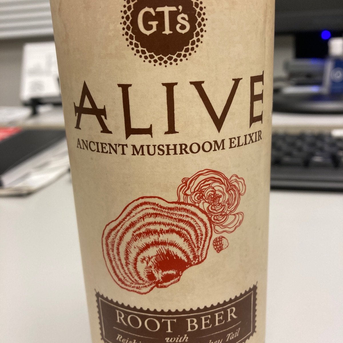 Root Beer from GT’s Living Foods - Vegan Product Reviews & Ratings ...