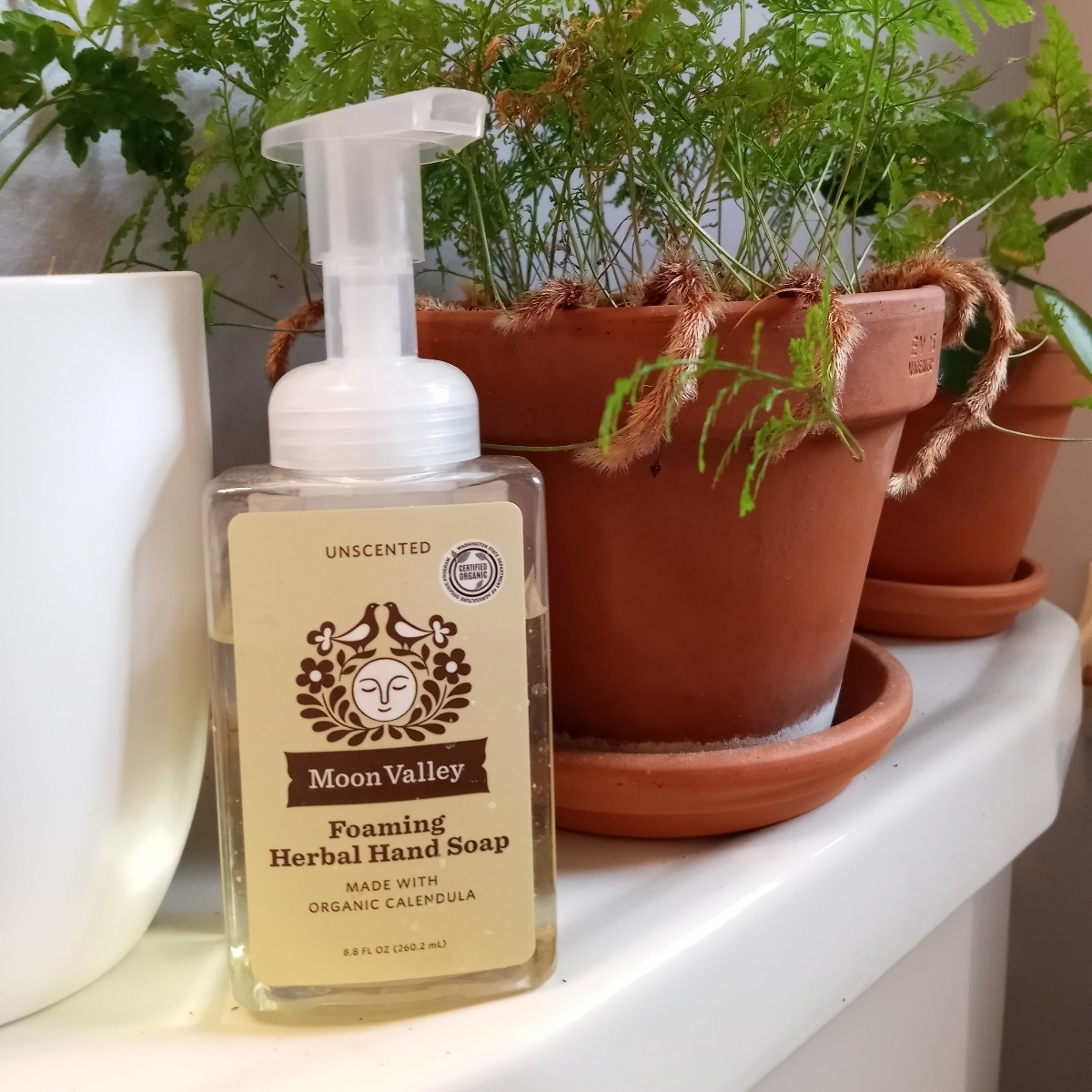 Foaming Herbal Hand Soap from Moon Valley Organics - Vegan Product ...