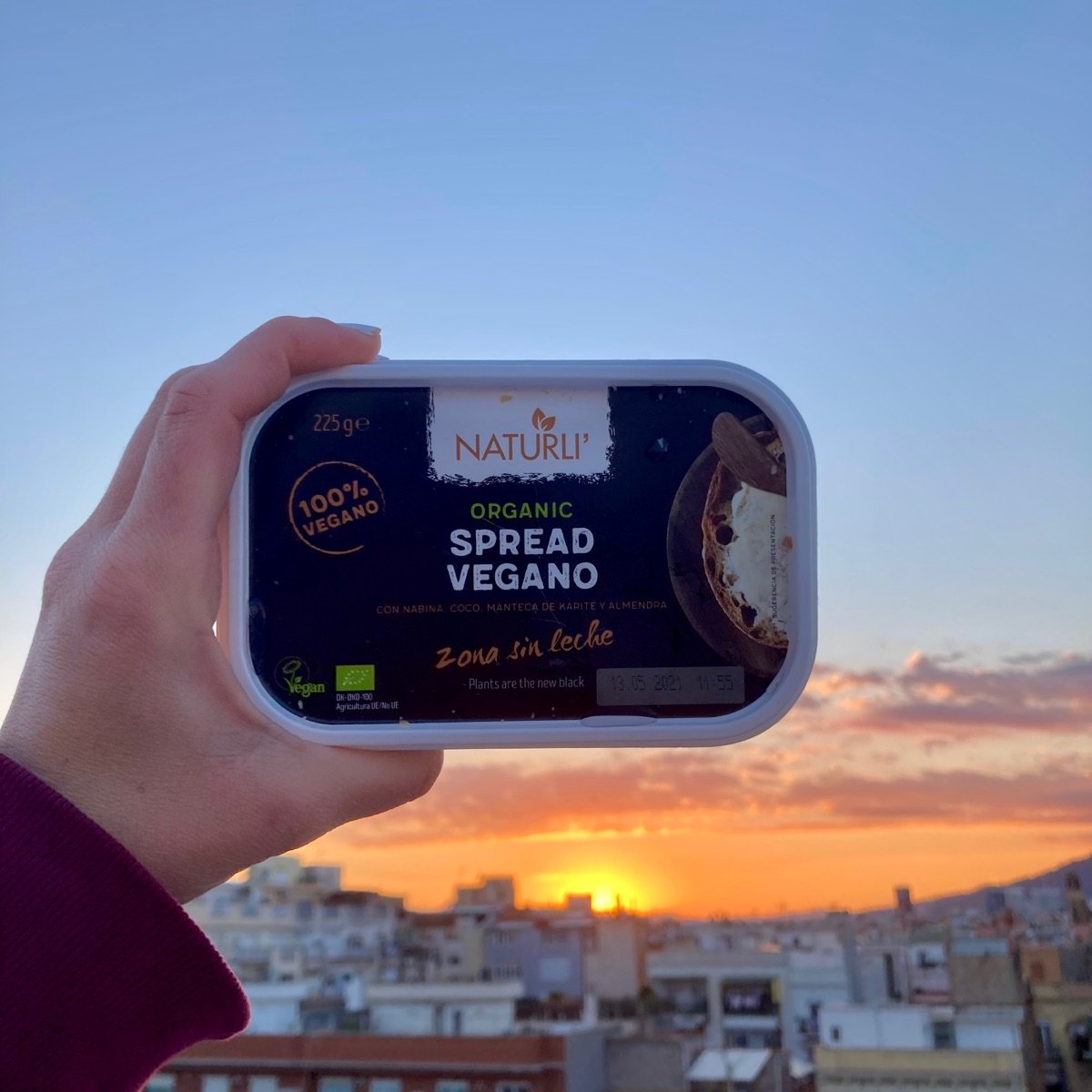 Organic Vegan Spreadable from Naturli' - Vegan Product Reviews ...