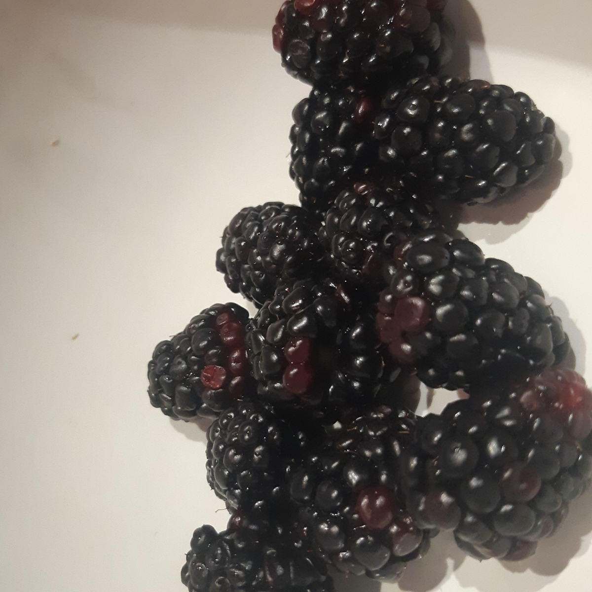 Organic Blackberries from Always Fresh Farms - Vegan Product Reviews ...