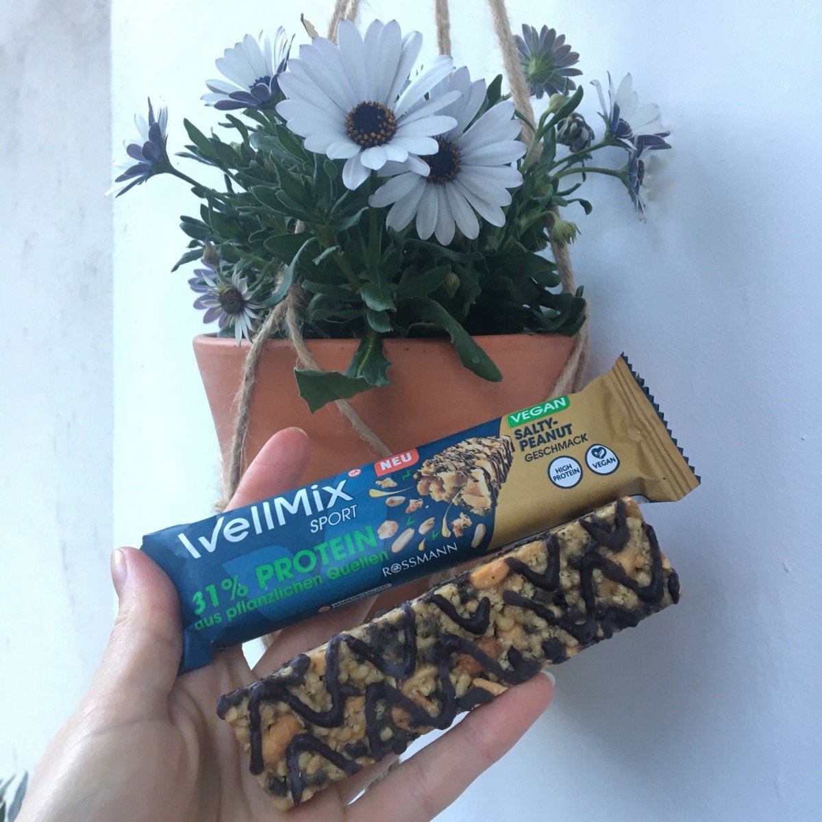 Protein Bar Salty Peanut from Well Mix Sport - Vegan Product Reviews ...