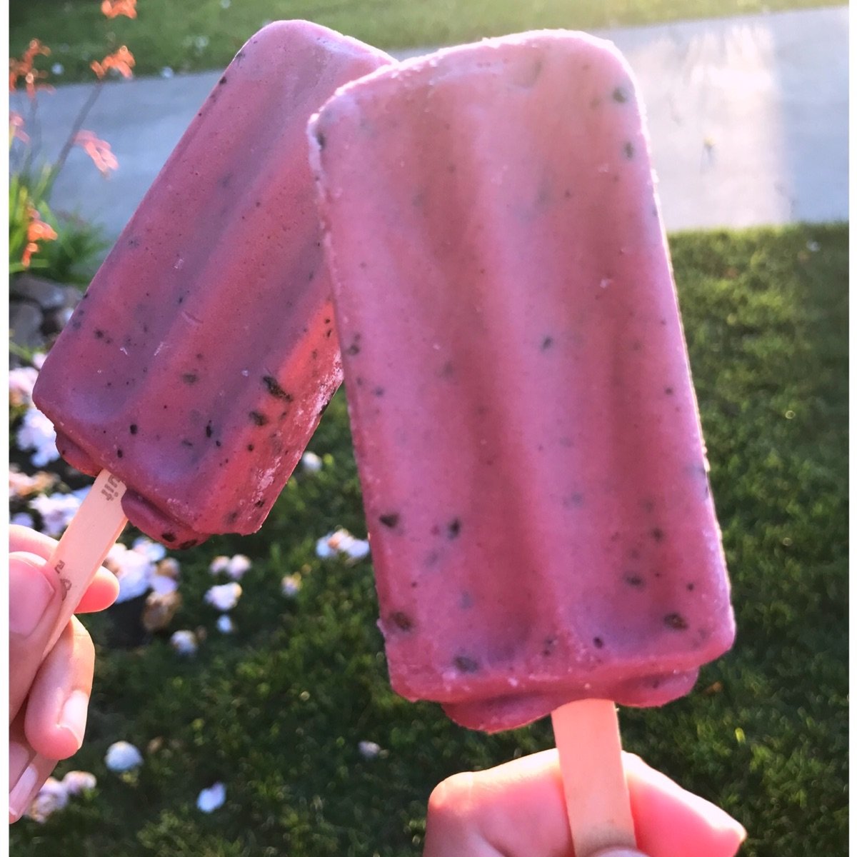 Raspberry Chip Pops from Chloe’s Pops - Vegan Product Reviews & Ratings ...