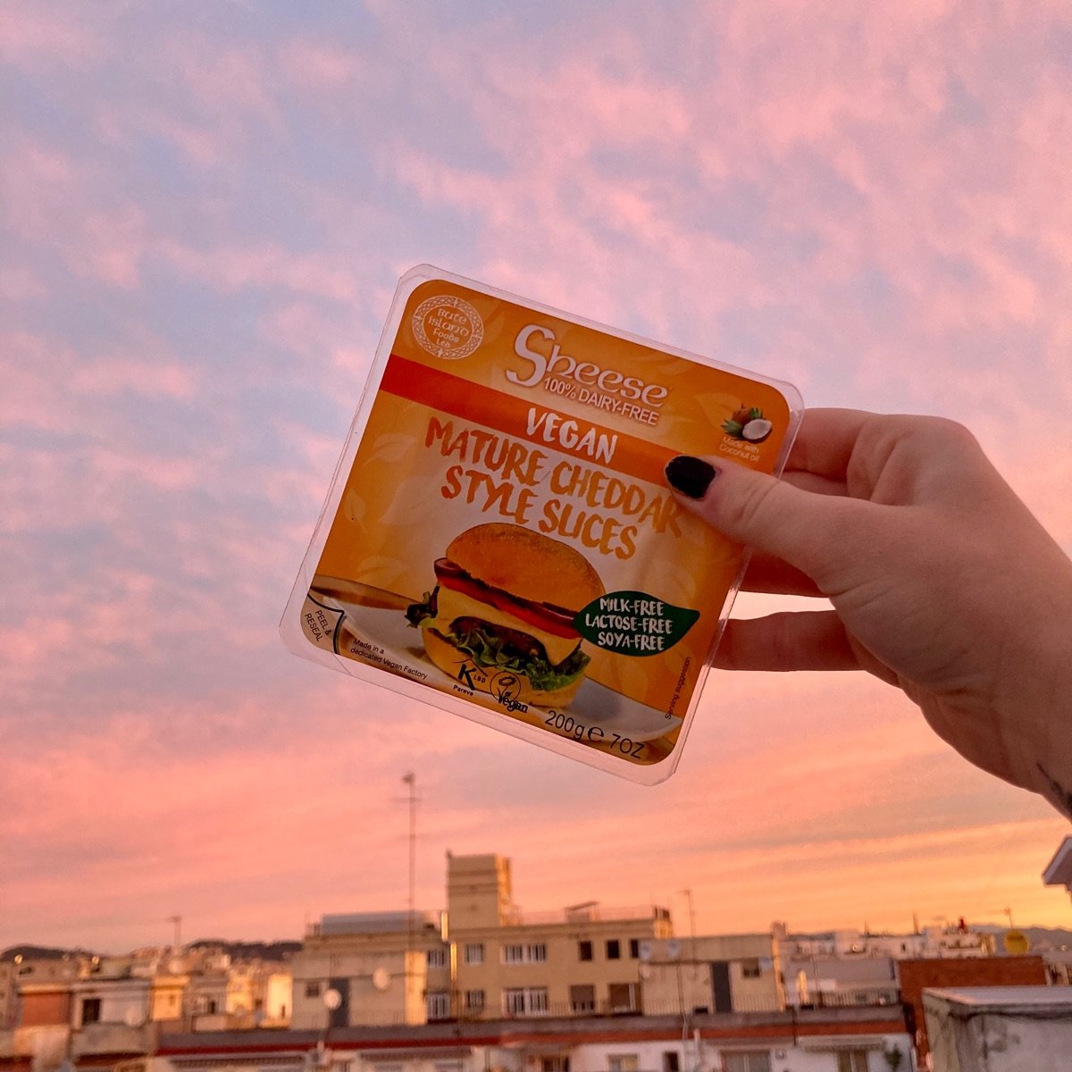 Mature Cheddar Style Slices from Bute Island Foods - Vegan Product ...