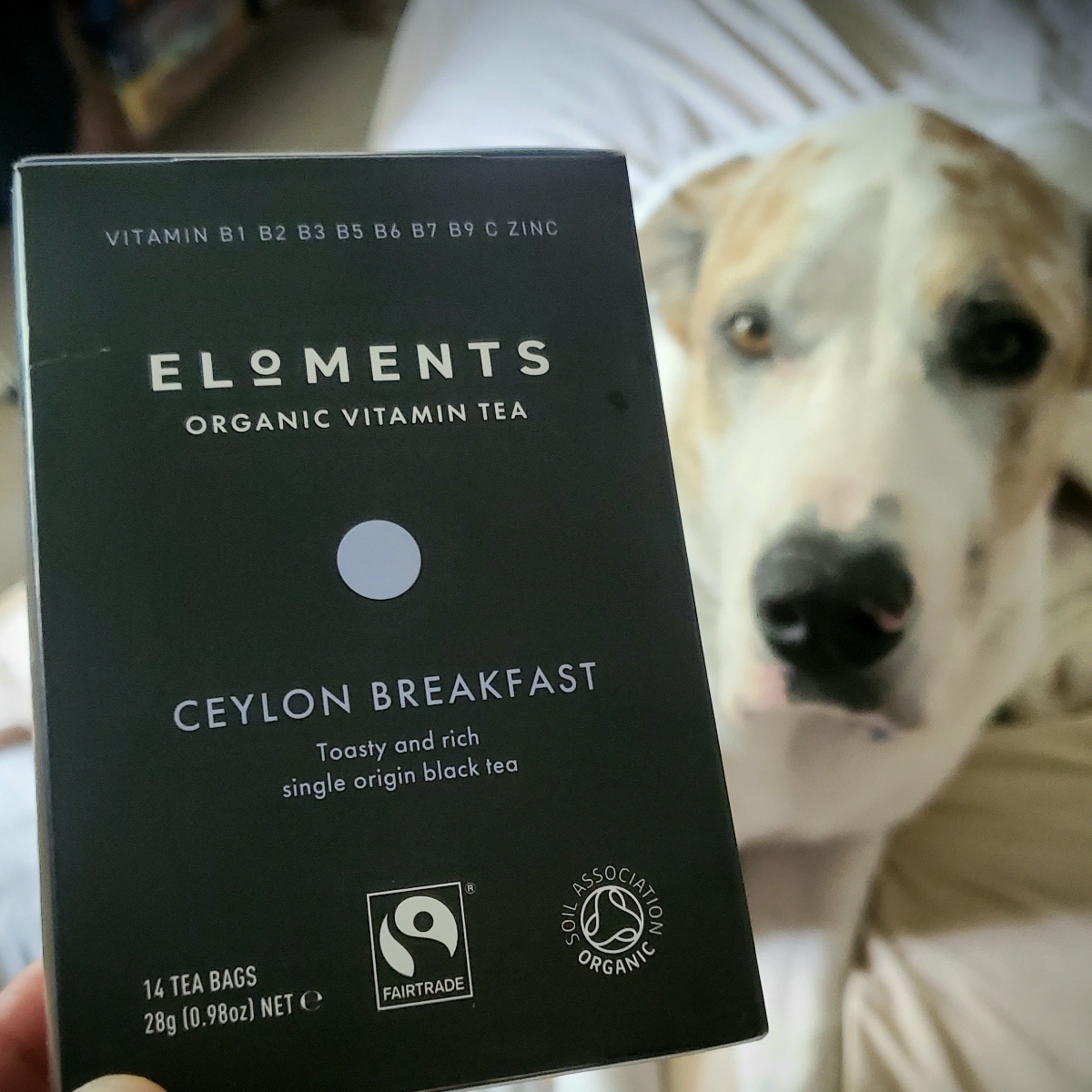 Organic vitamin tea - ceylon breakfast from ELoMENTS ™️ - Vegan Product ...
