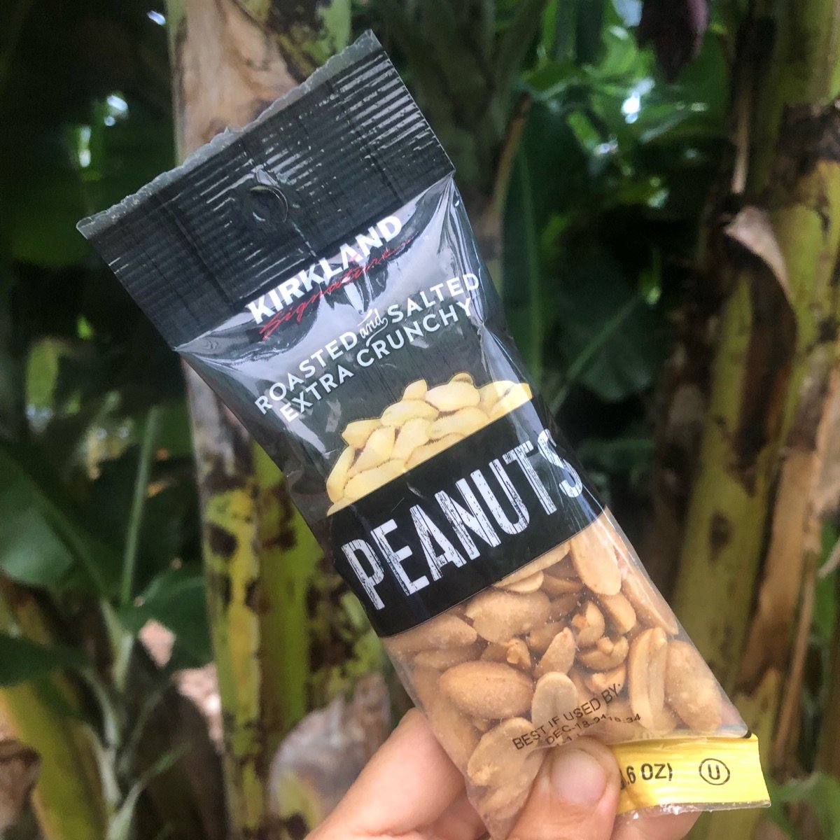 Roasted with Salted Extra Crunch Peanuts from Kirkland Signature ...