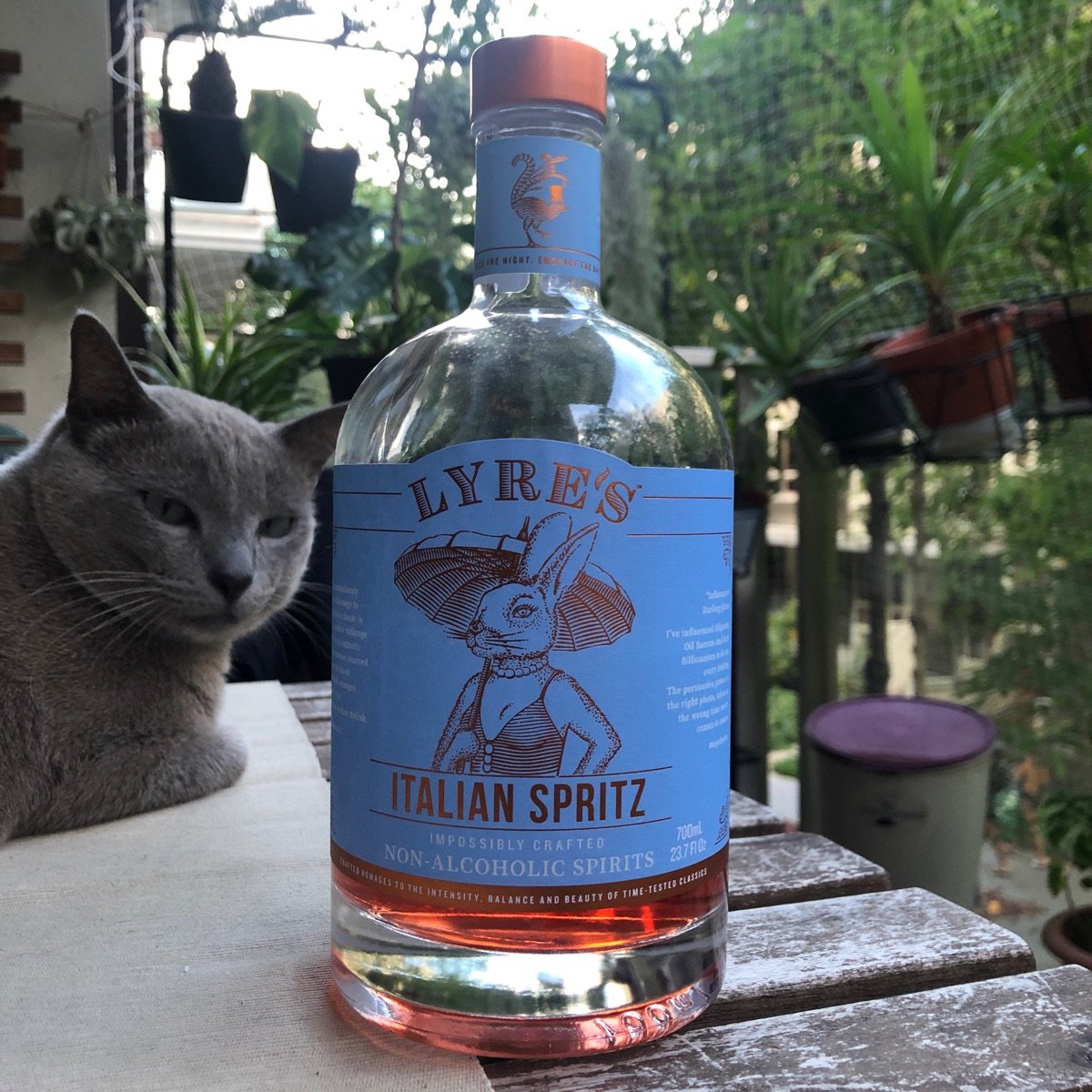 Lyres Italian Spritz Reviews | abillion