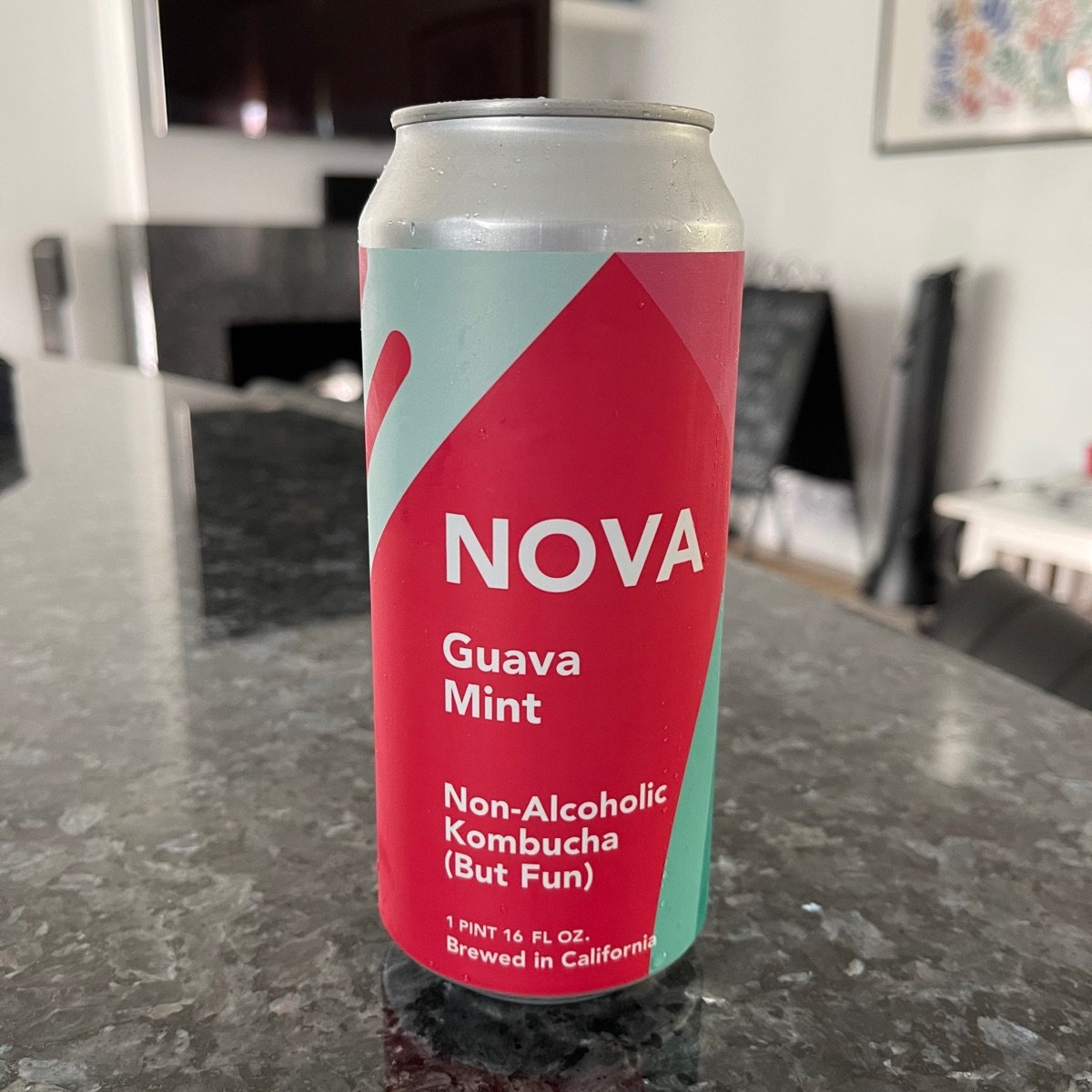 Guava Mint Kombucha from NOVA - Vegan Product Reviews & Ratings | abillion