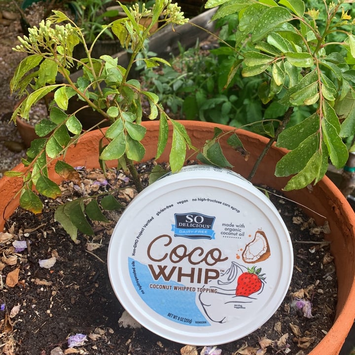 So Delicious Dairy Free Coco Whip Review | abillion