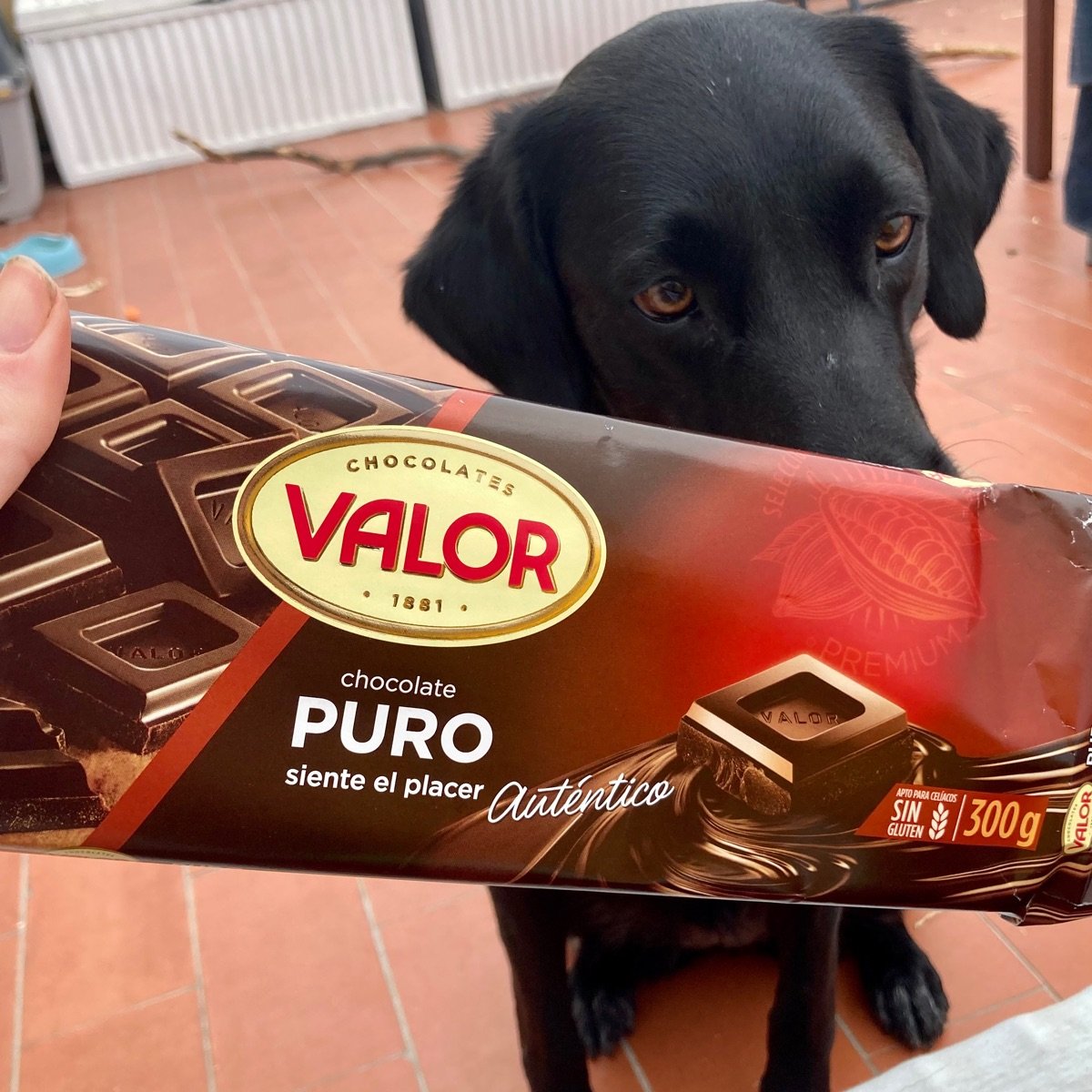 Chocolate Puro Autentico from Valor - Vegan Product Reviews & Ratings ...