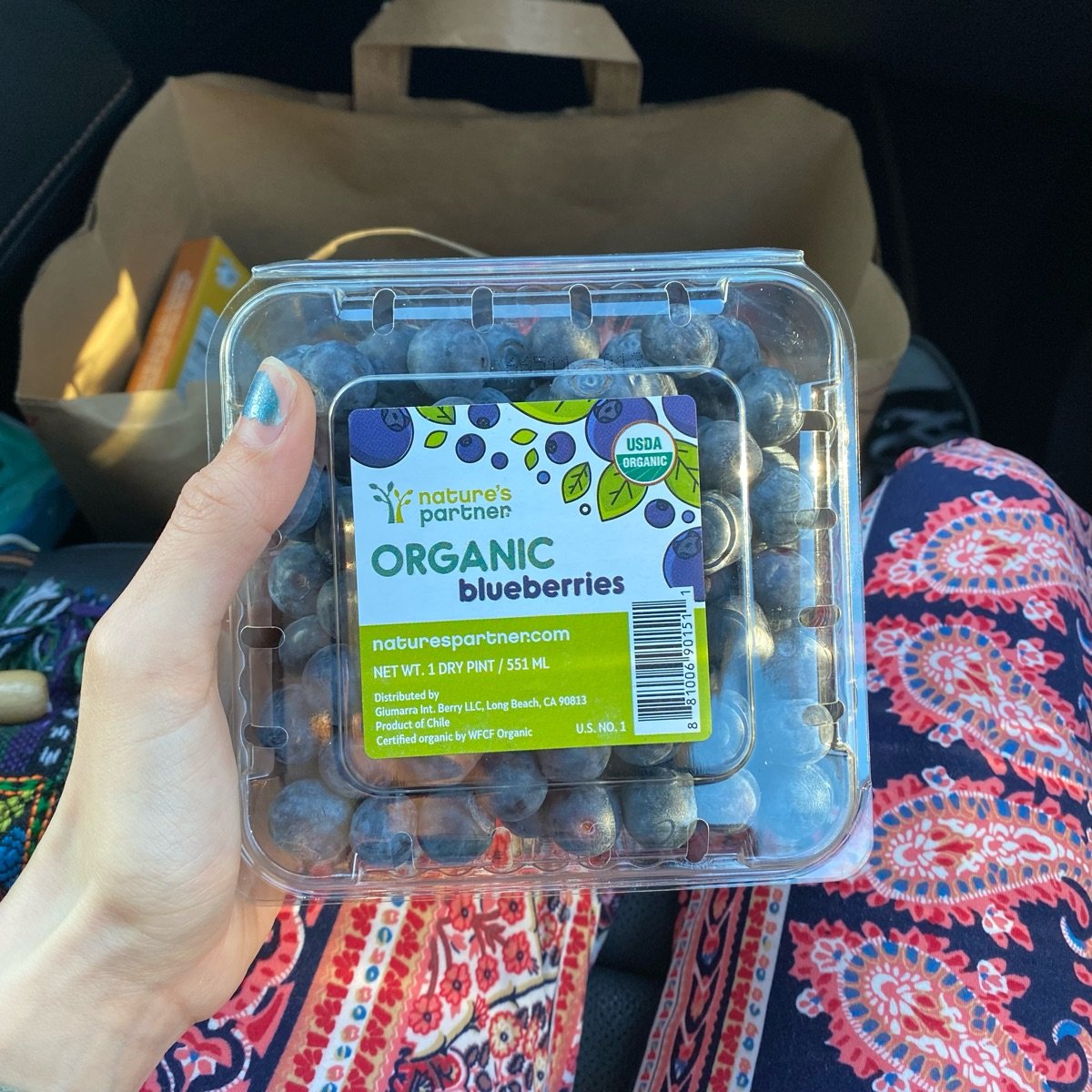 Organic Blueberries from Nature's Partner - Vegan Product Reviews ...