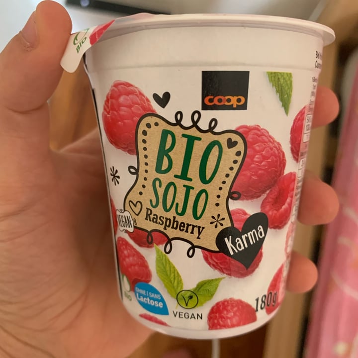 Coop Karma Bio Sojo Raspberry Review | abillion