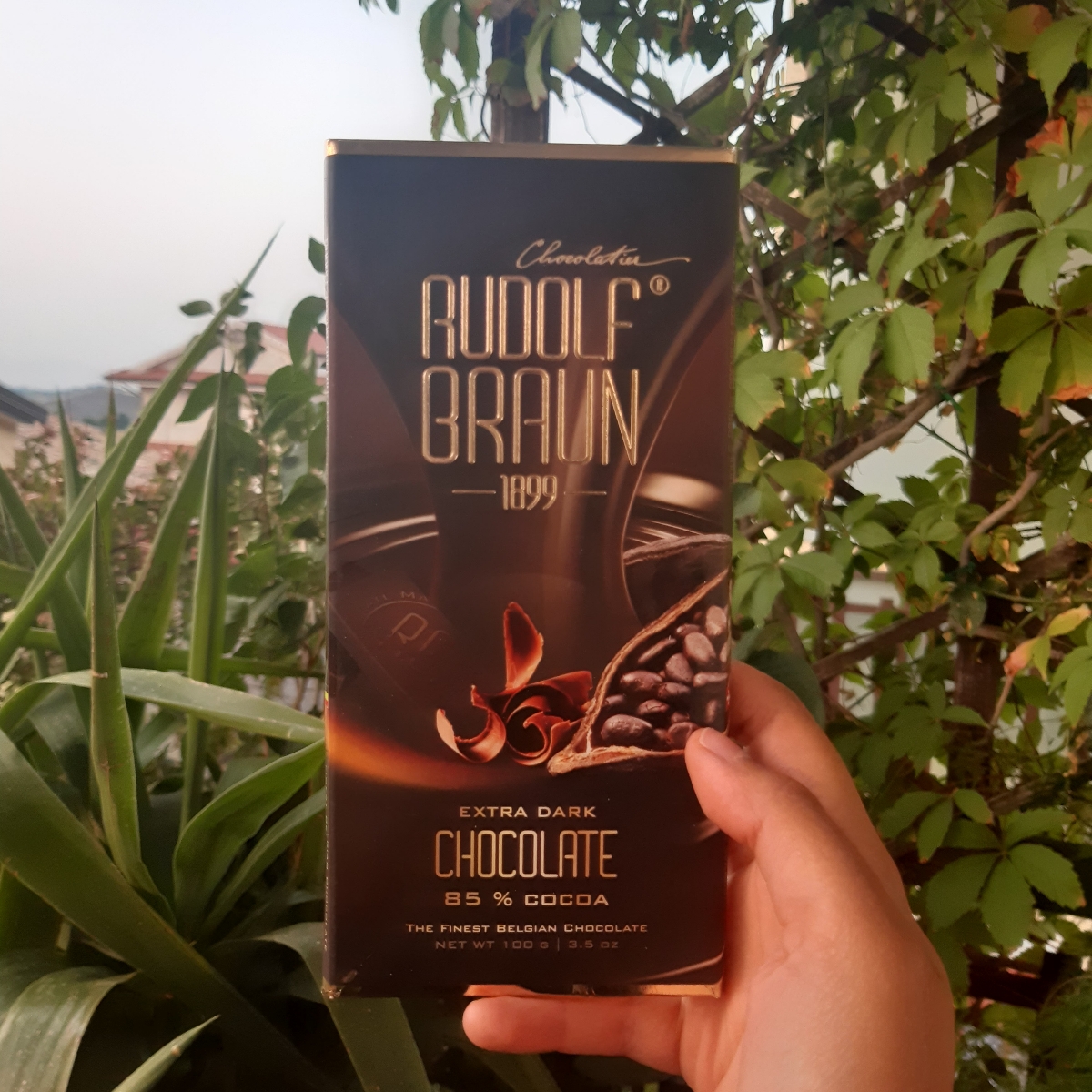 Extra dark chocolate 85% from Rudolf braun - Vegan Product Reviews ...