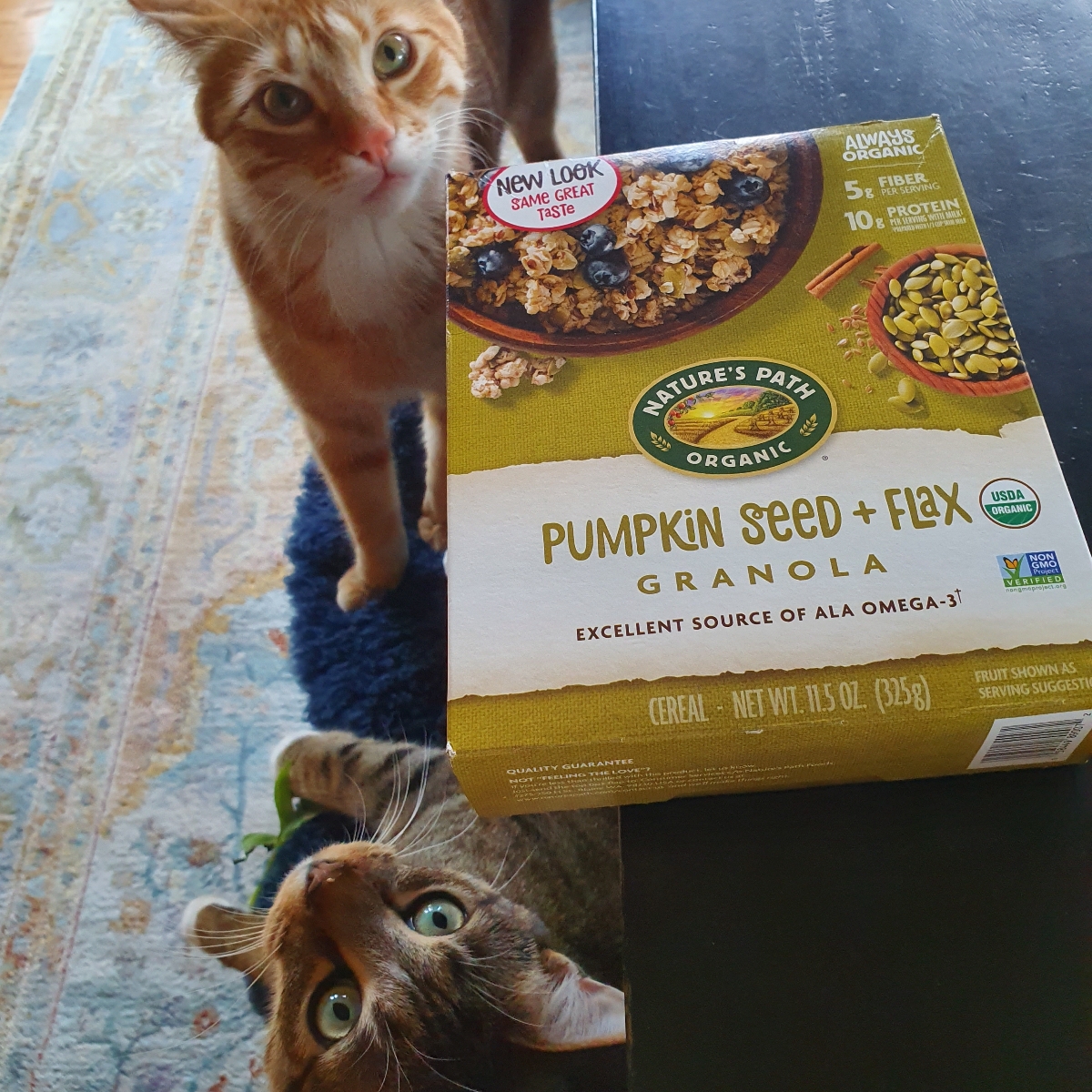 Nature's Path Pumpkin Seed + Flax Granola from Nature's Path Foods ...